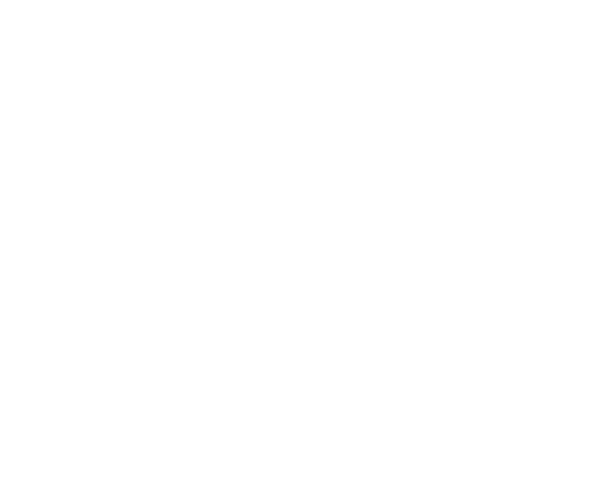 Welcome to the Drive Motor Retail Drive VIP Vault Event